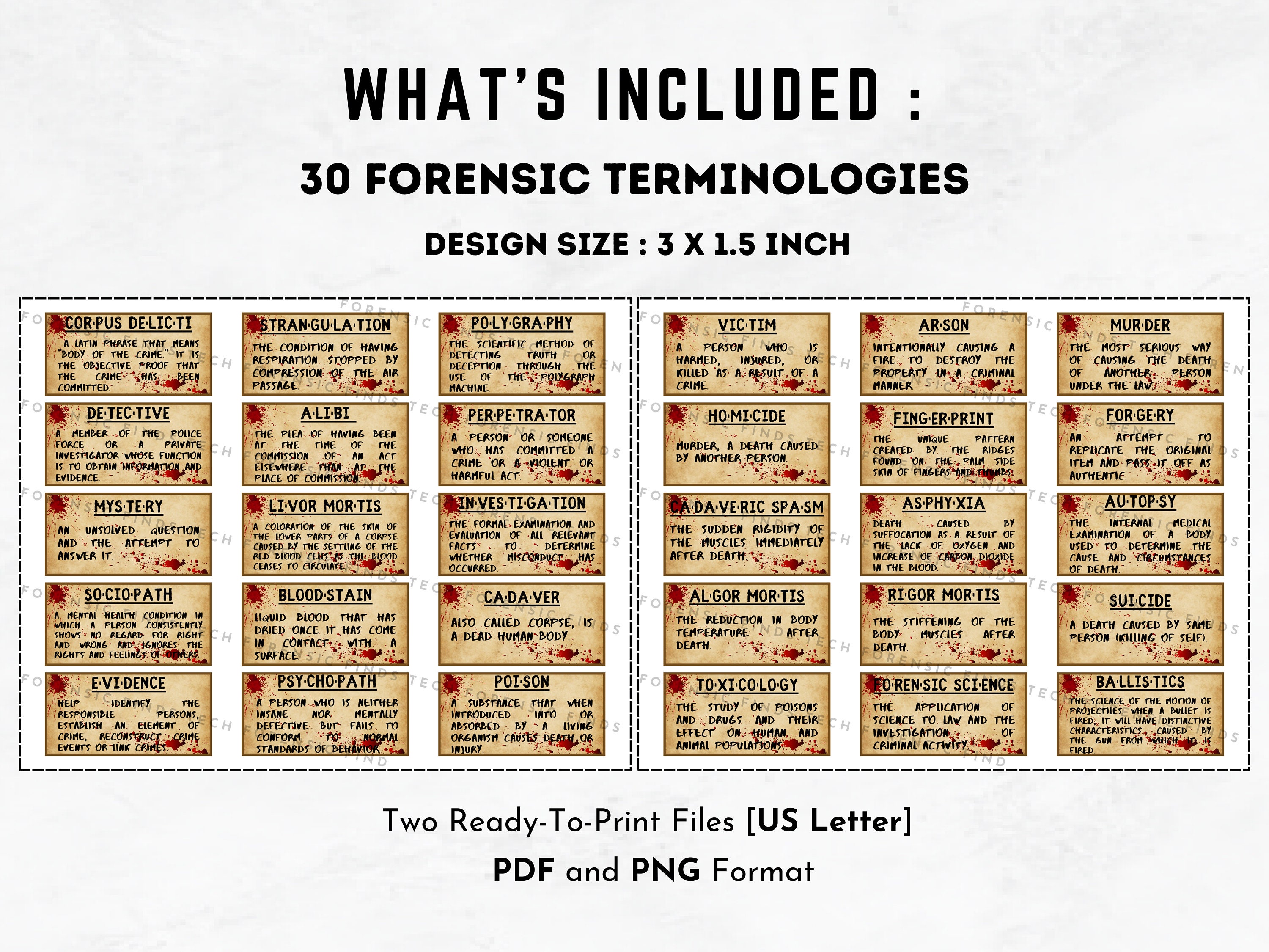 Forensic Terminologies Sheet Crime Dictionary Printable Detective Props ...