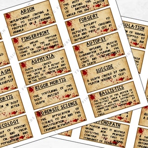Forensic Terminologies Sheet Crime Dictionary Printable Detective Props ...