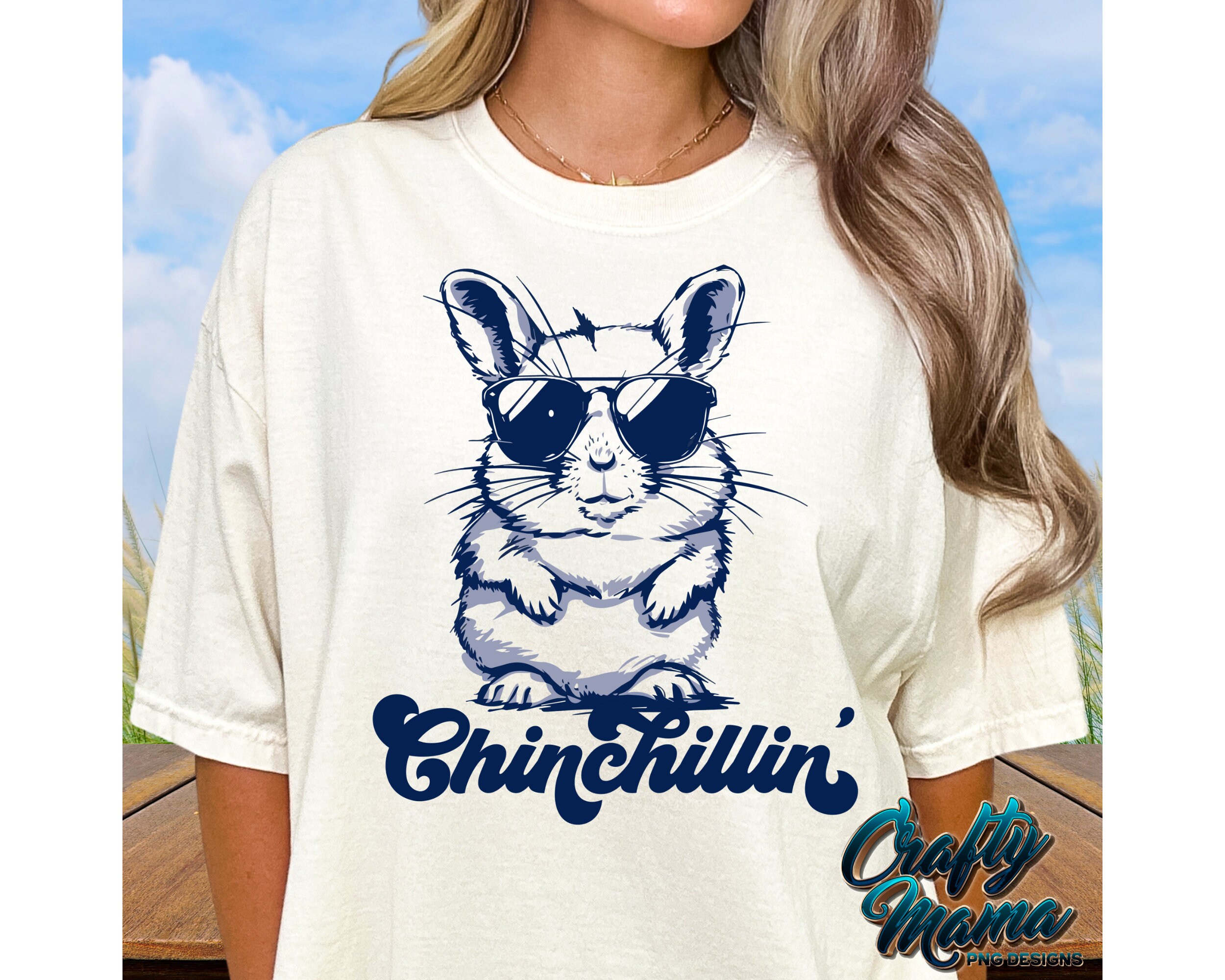 Funny Png, Chinchilla Png, Funny Quote Png Sublimation Design, Funny ...