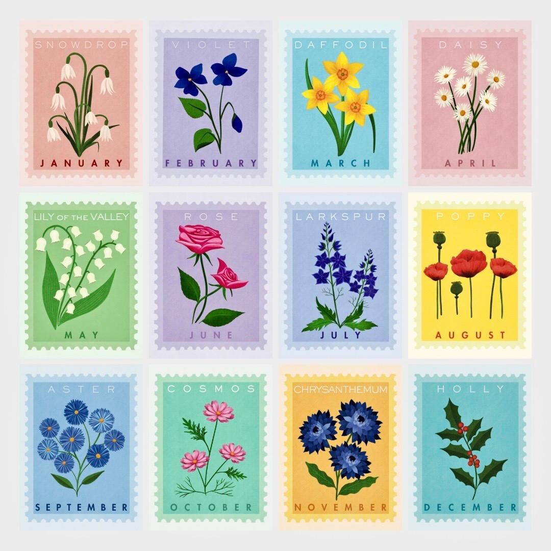 Birth Flower Cards Collection Set Flower of the Month for Birthday ...
