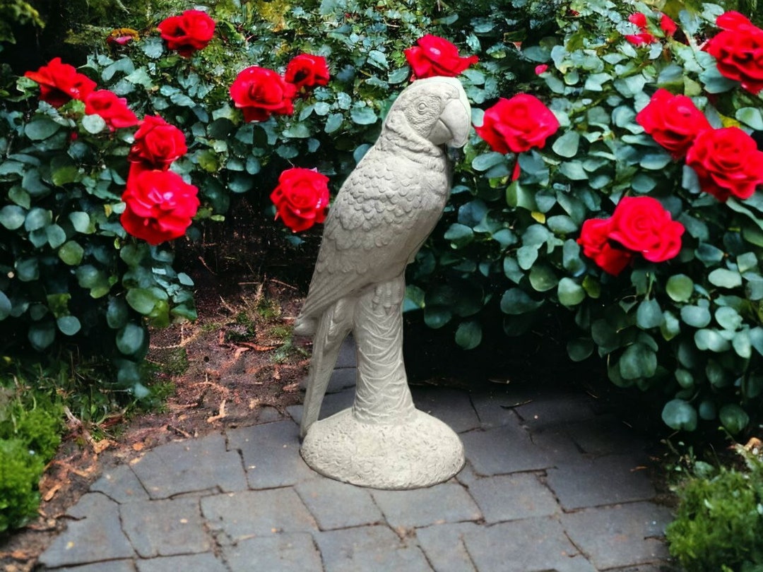 Parrot Bird Parrot on Rock Parrot on Stump Concrete Bird Parrot ...