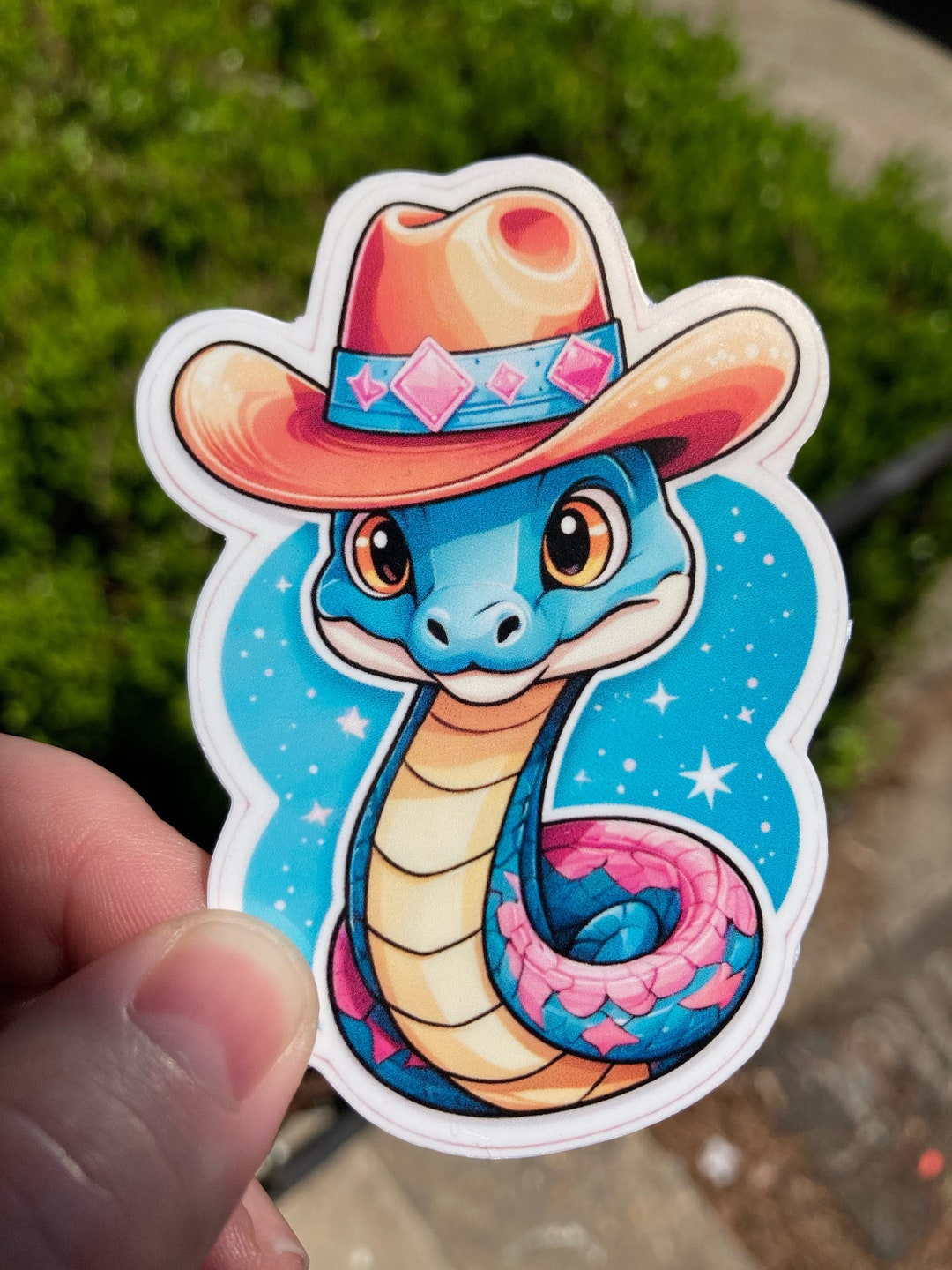 Cute Cowboy Snake Vinyl Sticker Western Pop Art Water Resistant - Etsy