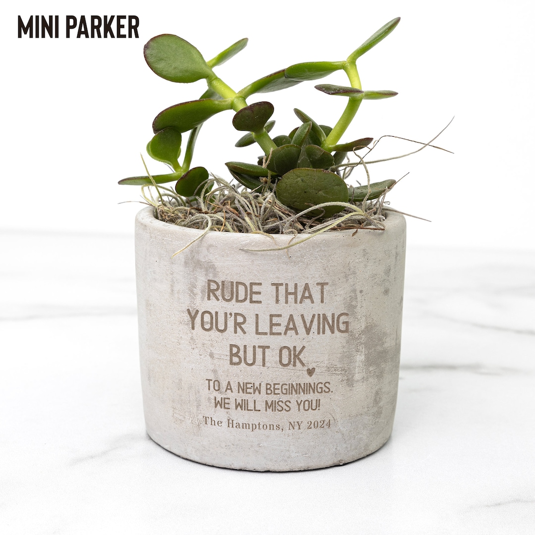Personalized Rude That You Are Leaving Desk Succulent Plant Pot Gift ...