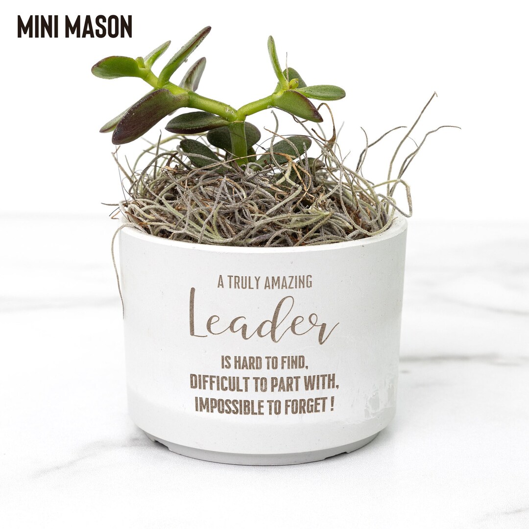 Leader Desk Plant Gift, Leadership Quote, Gift for Leader, Mentor ...