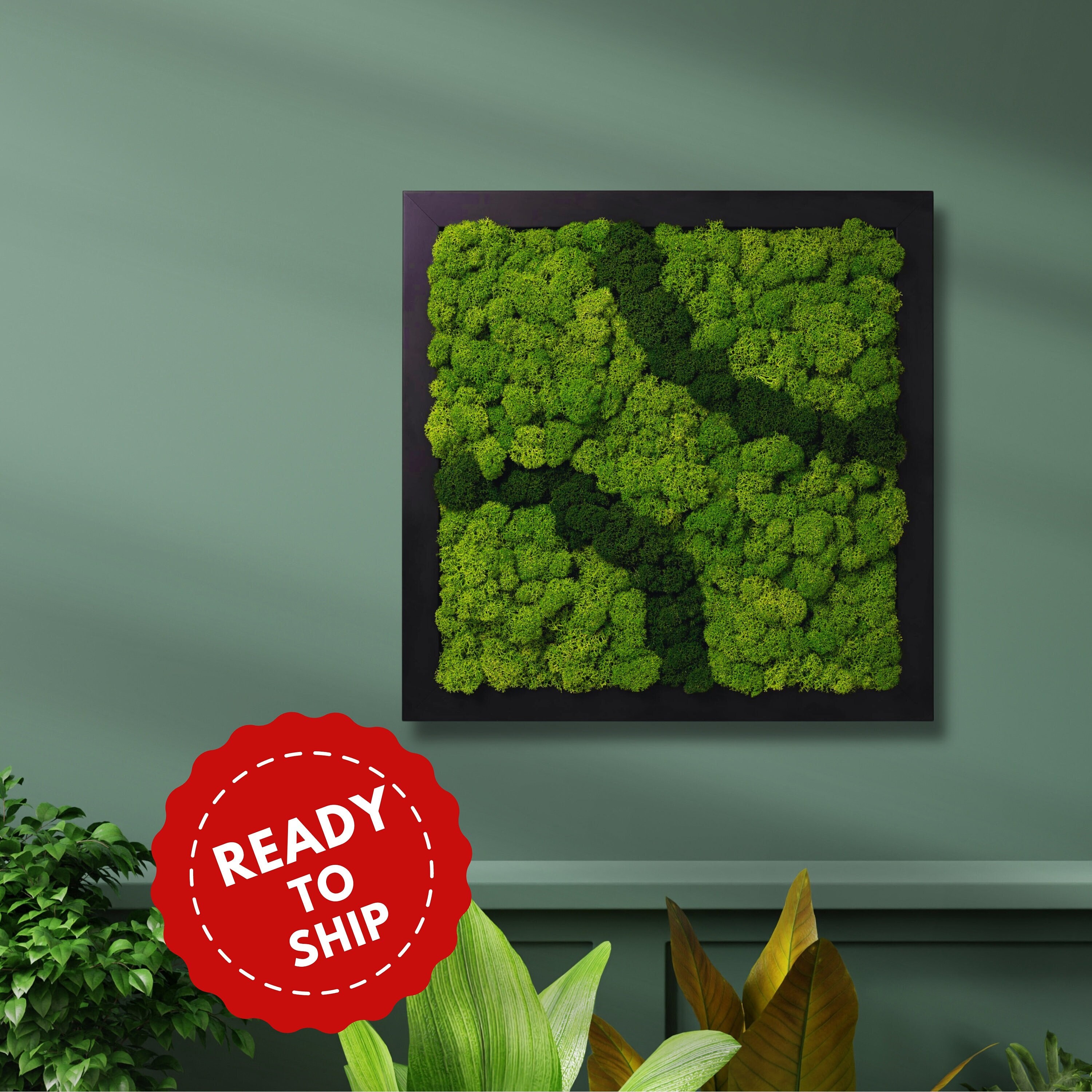 Moss Wall Art, Lichen Live Moss Wall Panel, Moss Artwork, Indoor ...