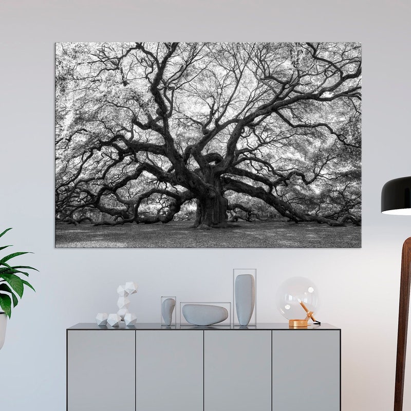 Angel Oak Photography Print - Etsy
