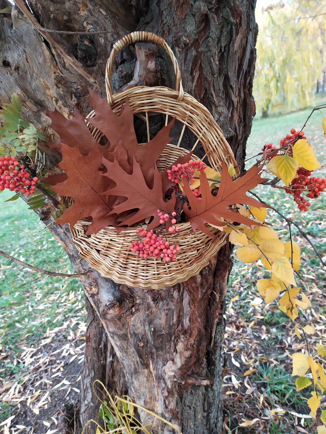 Door Hanging Basket, Wall-mounted Storage Basket, Hanging Door ...