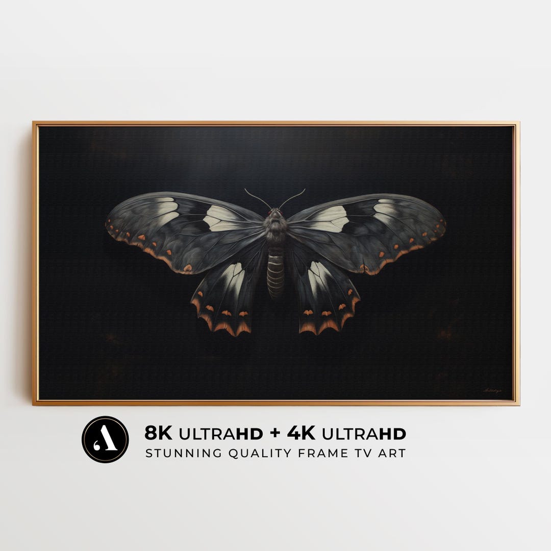 Dark Frame Tv Art Black Moth & Broken Wing, Halloween Painting | Gothic ...