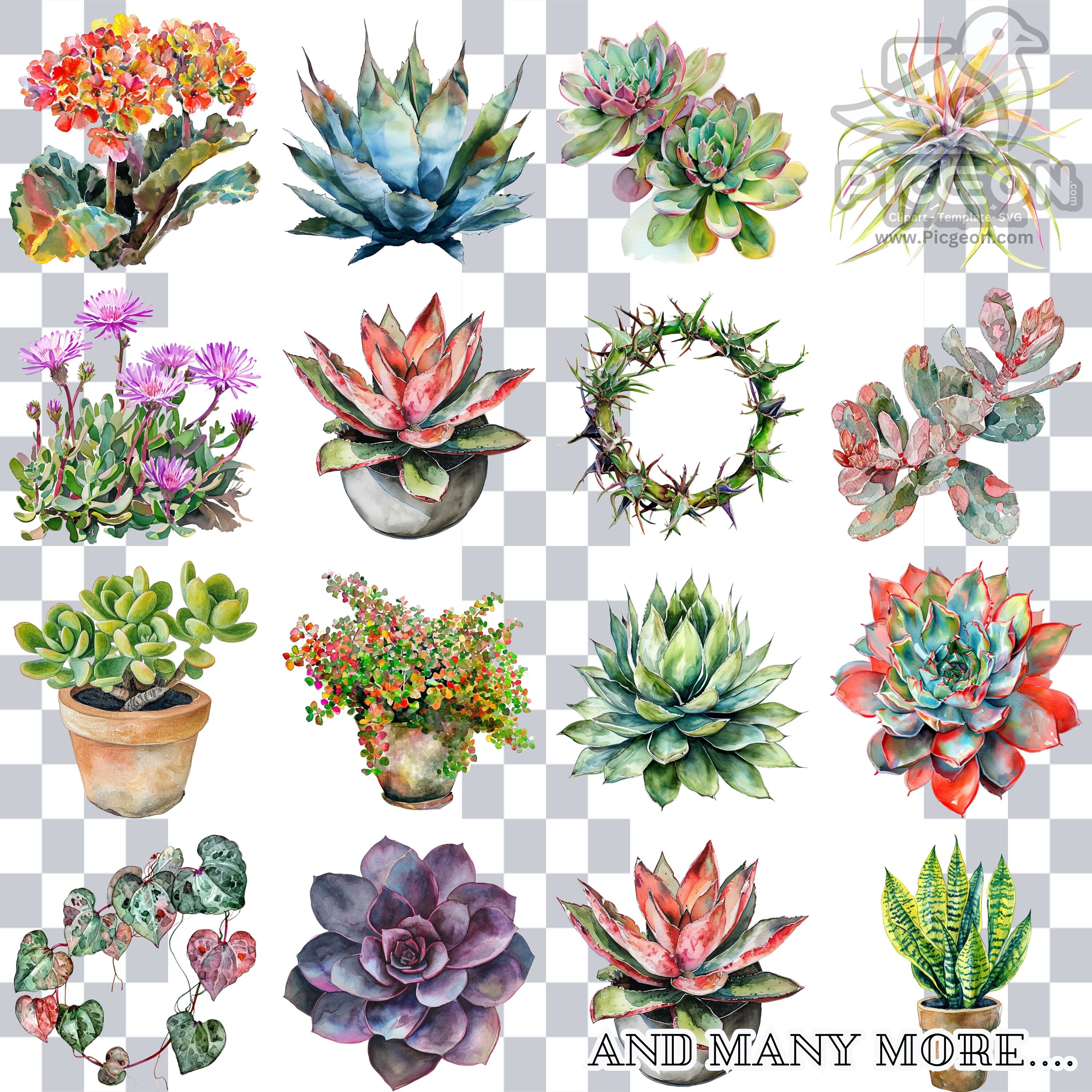 350+ Cactus & Succulents Clipart PNG Floral Svg for Shirts Watercolor ...