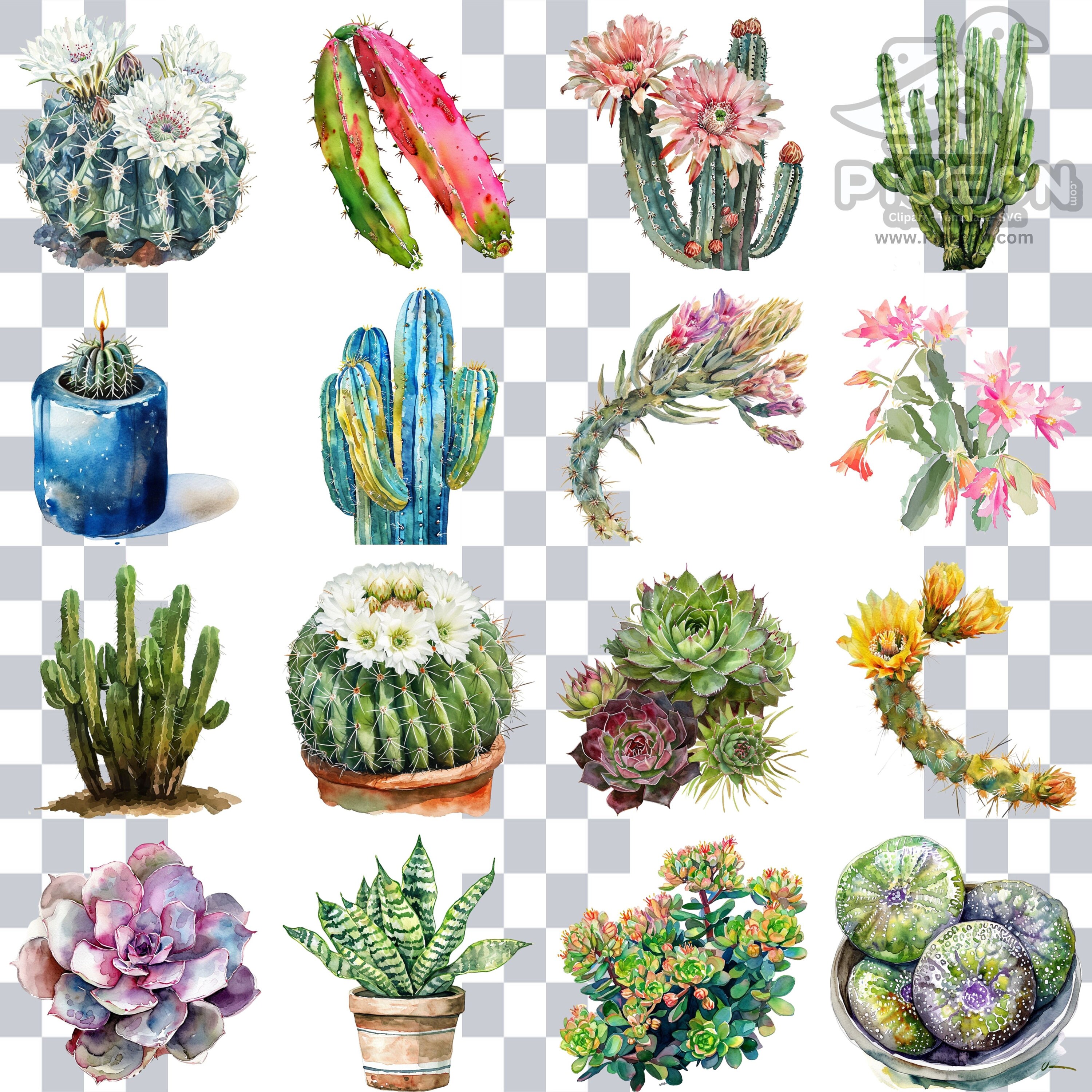 350 Cactus & Succulents Clipart PNG Floral Svg for Shirts Watercolor ...
