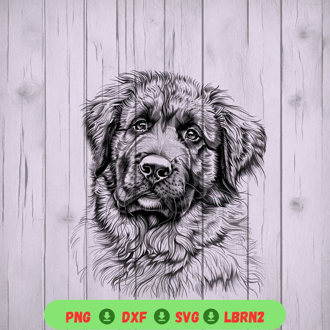 Leonberger Dog Portrait Svg Perfect for Dog Lovers Laser Cricut ...