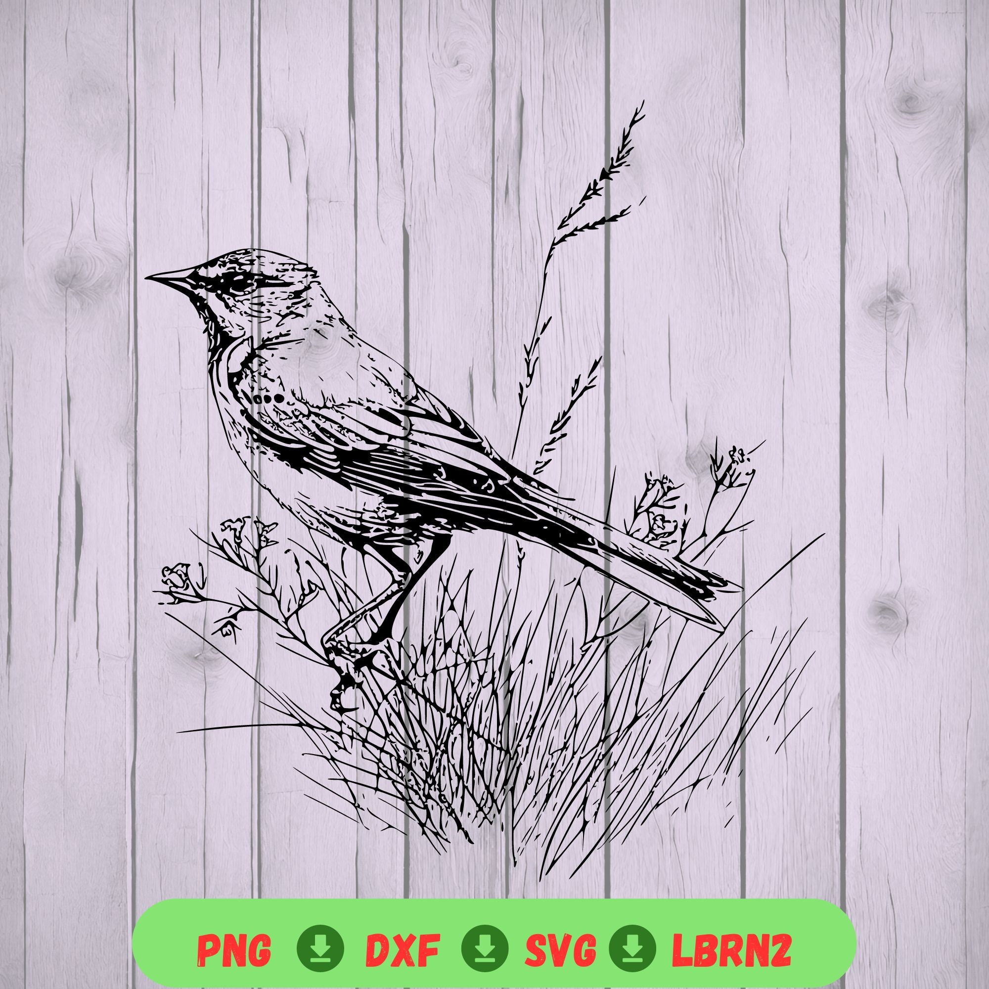 SPRING BIRD SVG Branch With Bird Svg for Laser Cutting, Black Bird ...