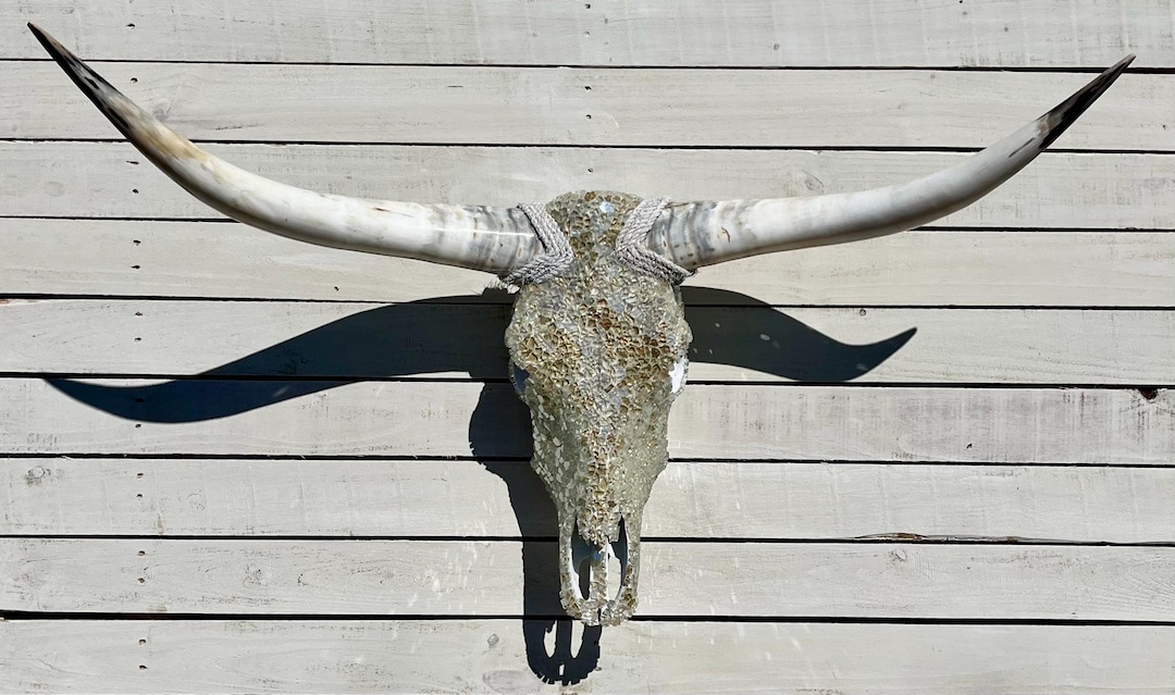 Cow Skull Wall Art 44-48" Wide - Real Home Decor - Gift for Her & Him ...
