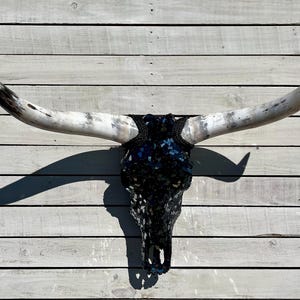 Cow Skull Wall Art 44-48" Wide. Real Steer Home Decor - Wedding Gift ...