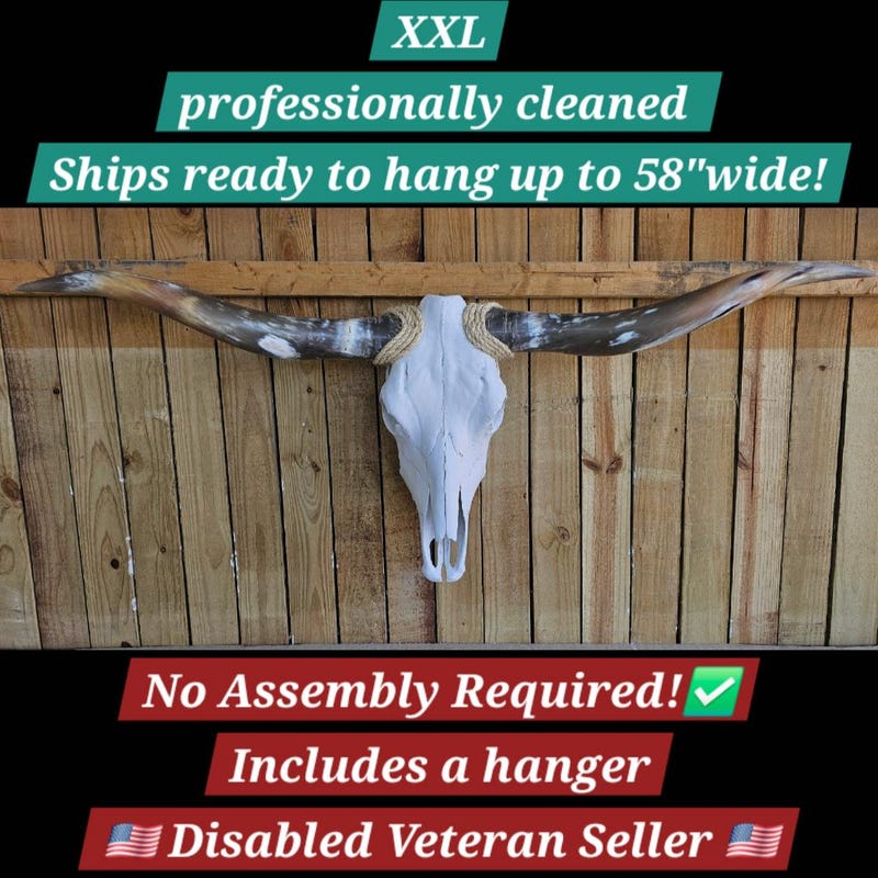 Faux or Real Skulls - Etsy