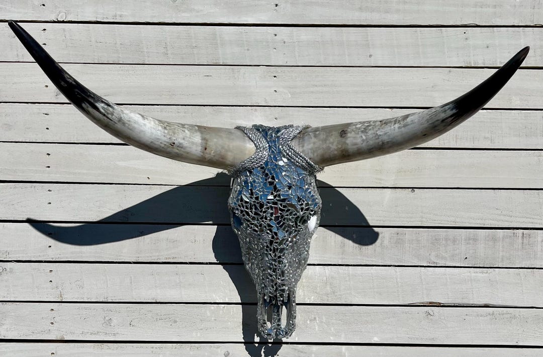 Cow Skull Wall Art 44-48" Wide. Real Steer Home Decor - Wedding Gift ...