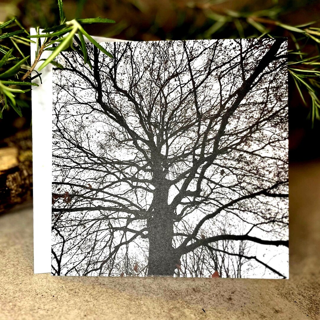 Autumn Beech, Mourning Card With or Without a Quote From Bonhoeffer, by ...