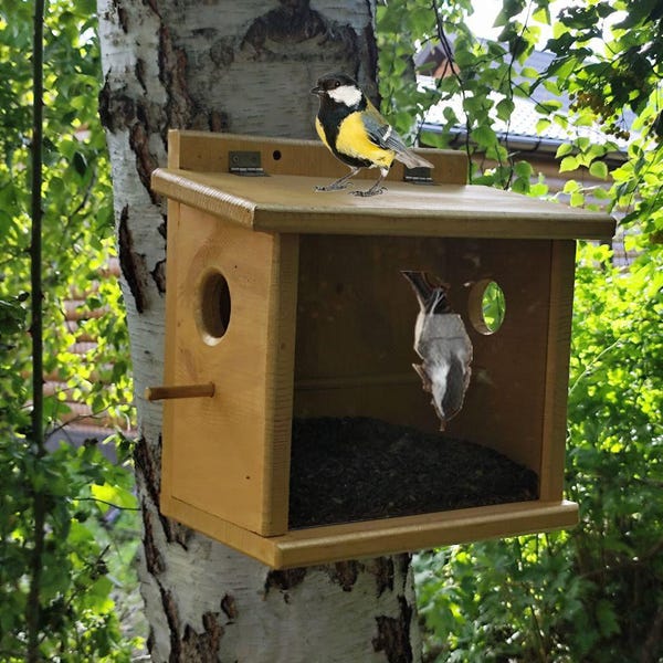 House for a Squirrel, Squirrel Nest, Hollow for a Squirrel, Wooden ...