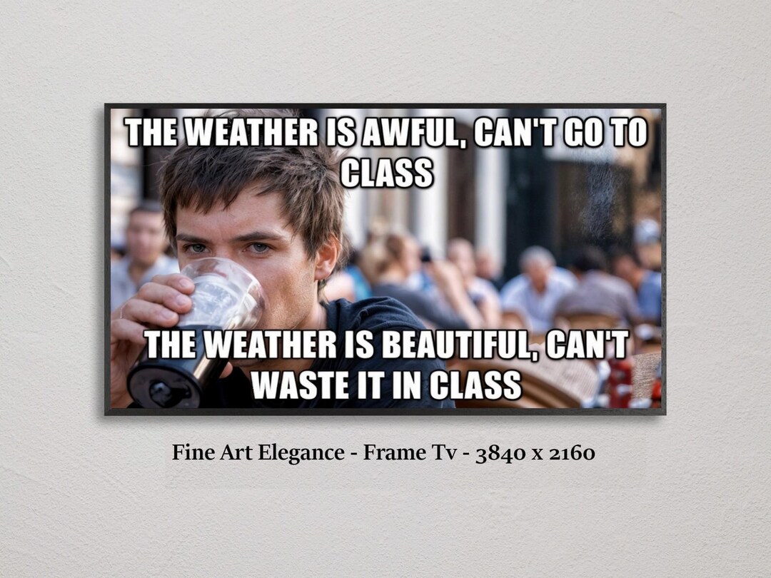 Lazy College Senior, Memes, Comical, Tv Frame Art, Television Picture ...