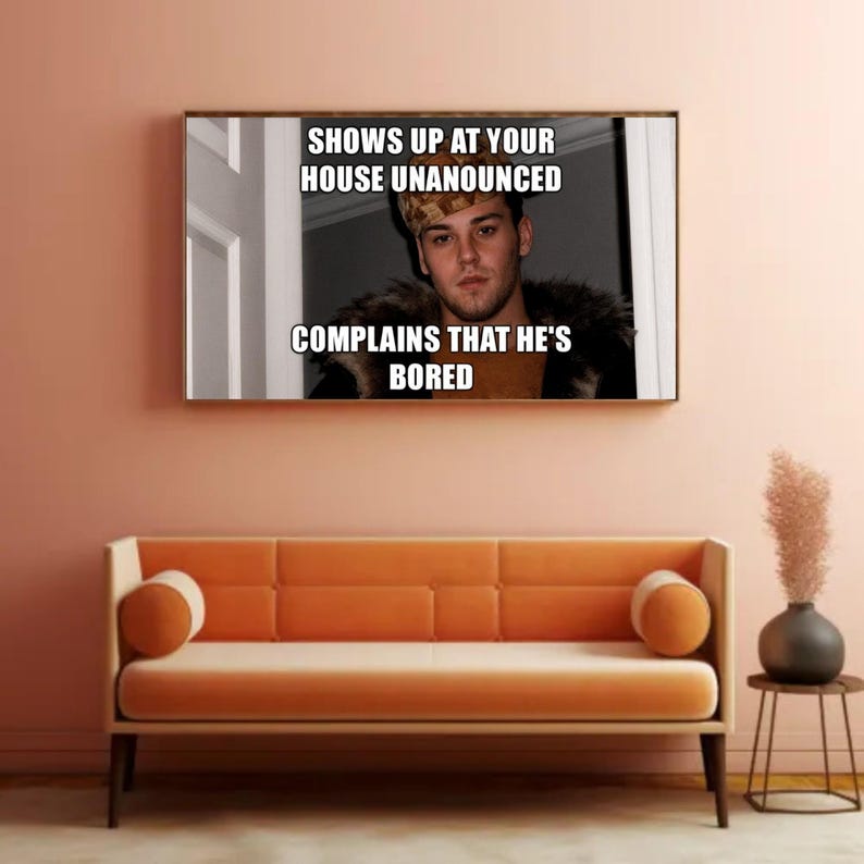 Scumbag Steve Meme, Funny TV Frame Art (JPG) - Etsy