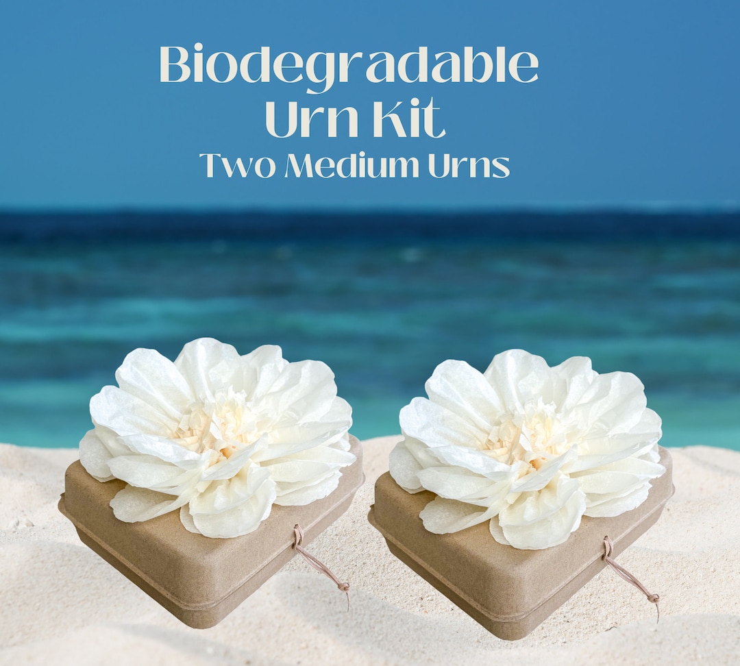 Biodegradable Cremation Urns for Ashes – Two Medium Water Burial Kit - Etsy