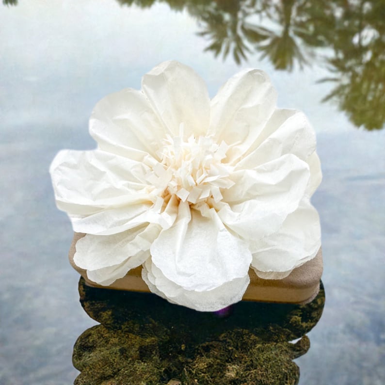 Eco-friendly Biodegradable Urn - Adult Size | Honor Life's Journey ...