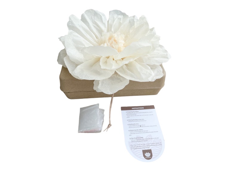 Eco-friendly Biodegradable Urn Adult Size Honor Life's Journey, Green ...