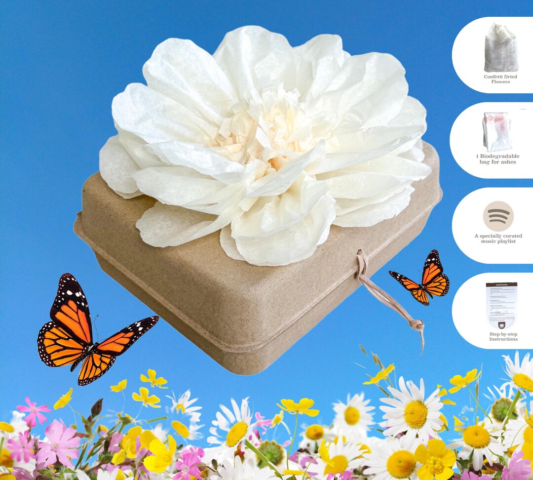 Biodegradable Cremation Urn for Ashes – Burial Kit With Butterfly Seeds ...