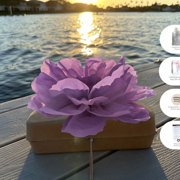 Biodegradable - Etsy