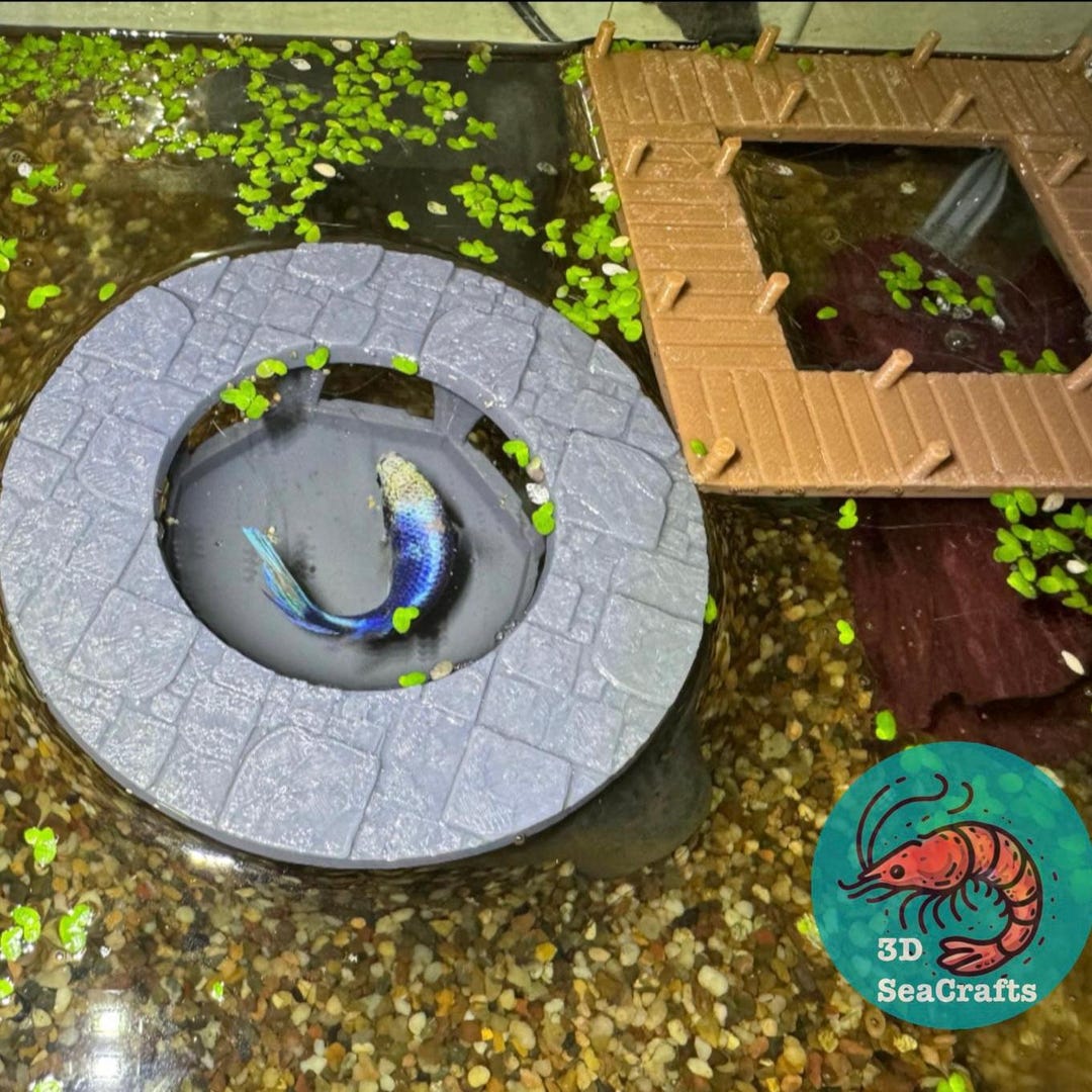 Floating Stone Pier: Decorative Aquarium Shrimp and Fish Feeder - Etsy