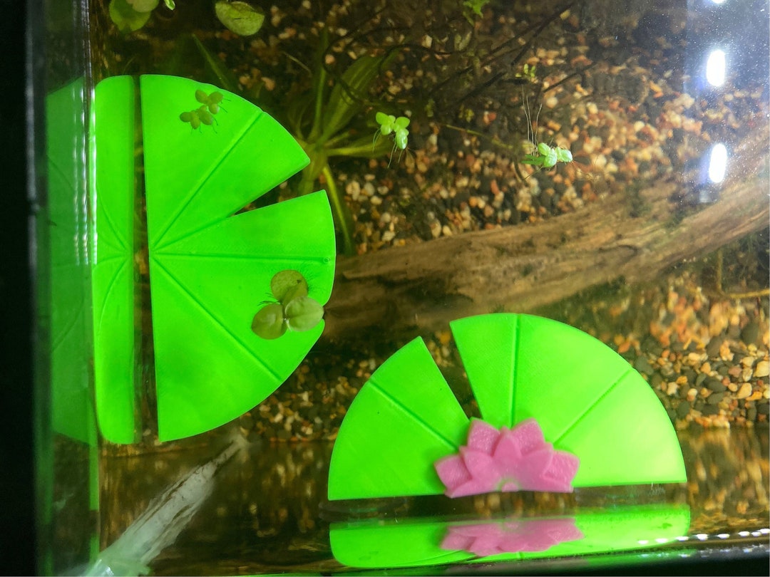 Lilypad Betta Perch | Betta Hammock | Betta Rest - Etsy
