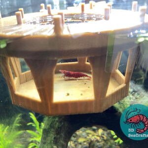 Floating Shrimp Dock Feeder: Aquarium Feeding Station - Etsy