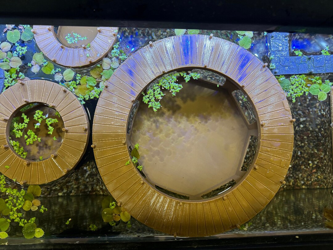 Giant Floating Dock Fish Feeder: Aquarium Clean Feeding Station - Etsy