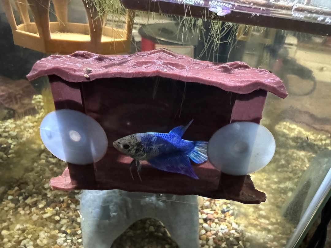 Natural Log Aquarium Hideout | Fish Cave - Etsy