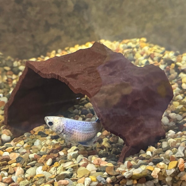 Aquarium Log Cave - Etsy