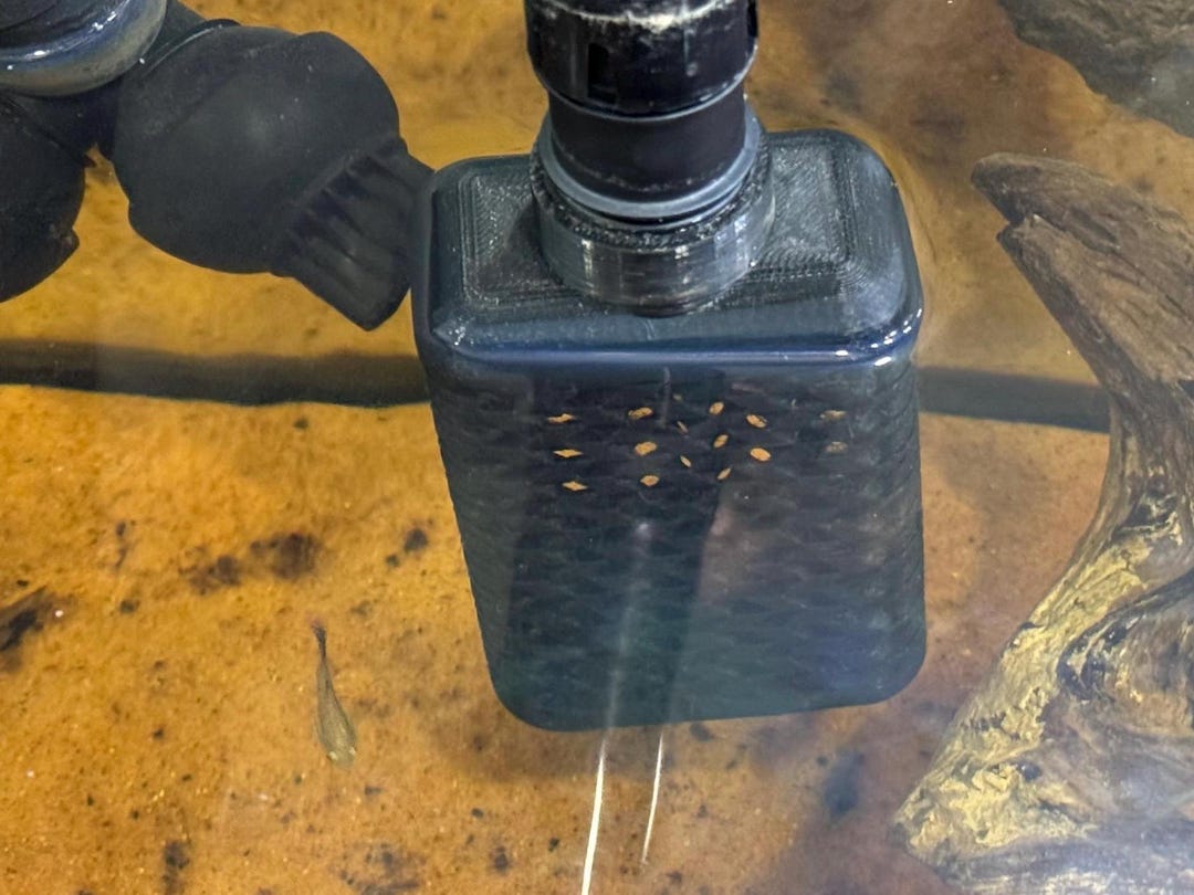 Fluval FX2/FX4/FX6 Cannister Filter Intake Guard | Fry Shrimp and Fish ...