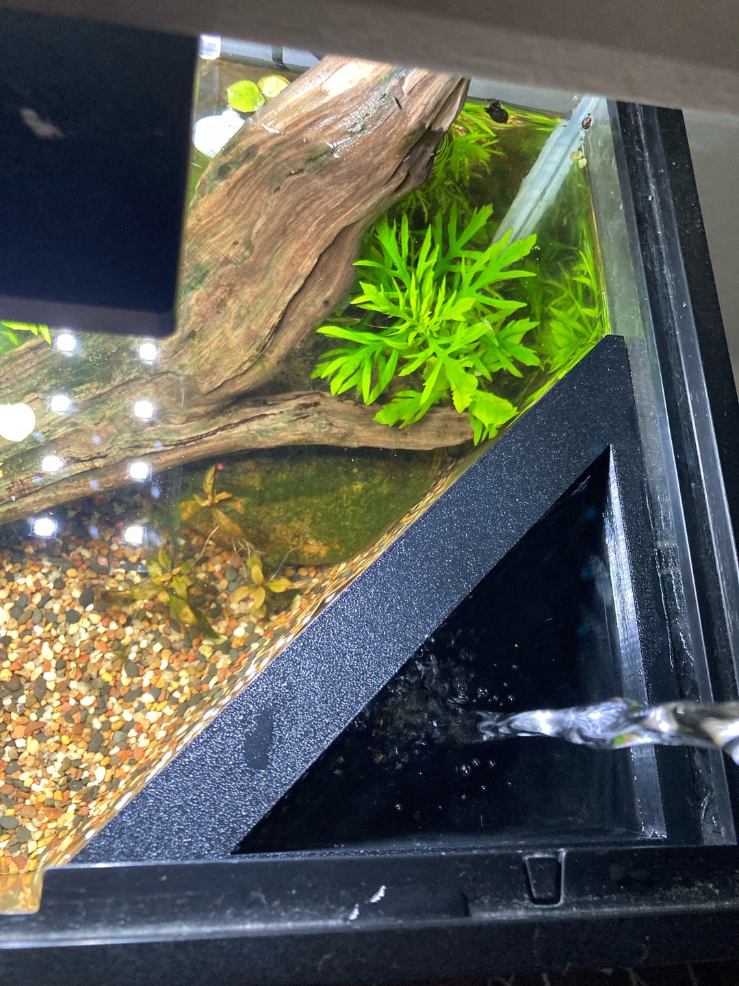 Water Change Corner Diffuser | Adjusts With Water Level | Stays in ...