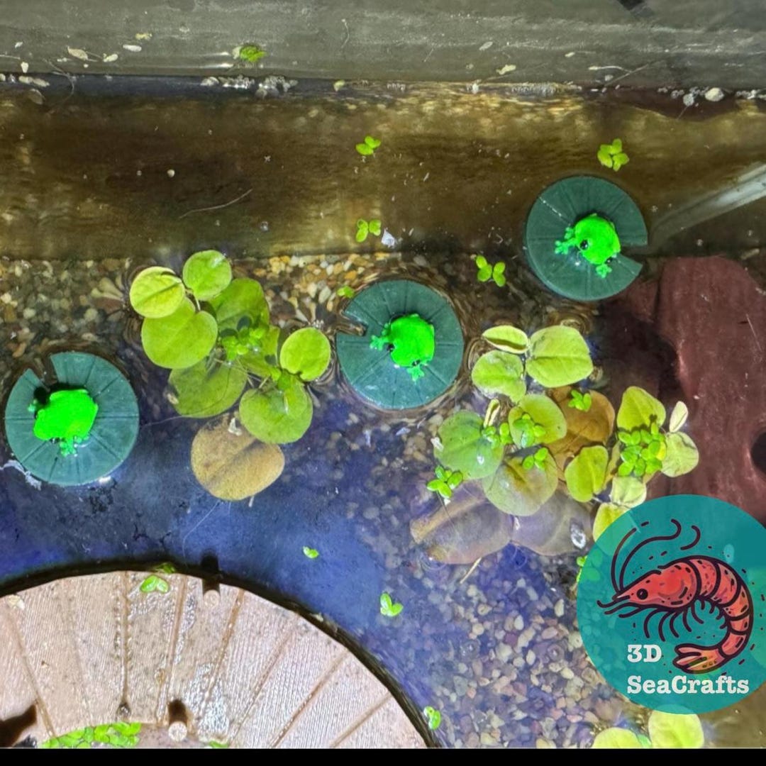 Lilypad and Frog Floating Decor | Decorative Aquarium Floater | Water ...
