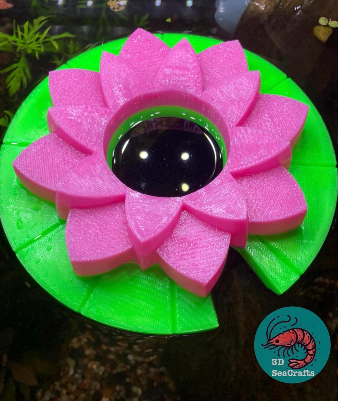 Lilypad Feeding Ring | Decorative Aquarium Floater Ring | Lilypad ...