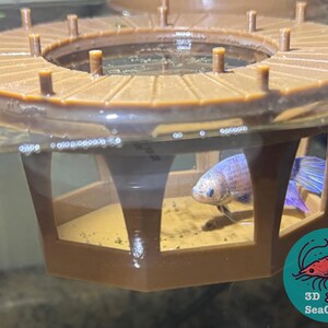 Floating Shrimp Dock Feeder: Aquarium Feeding Station - Etsy