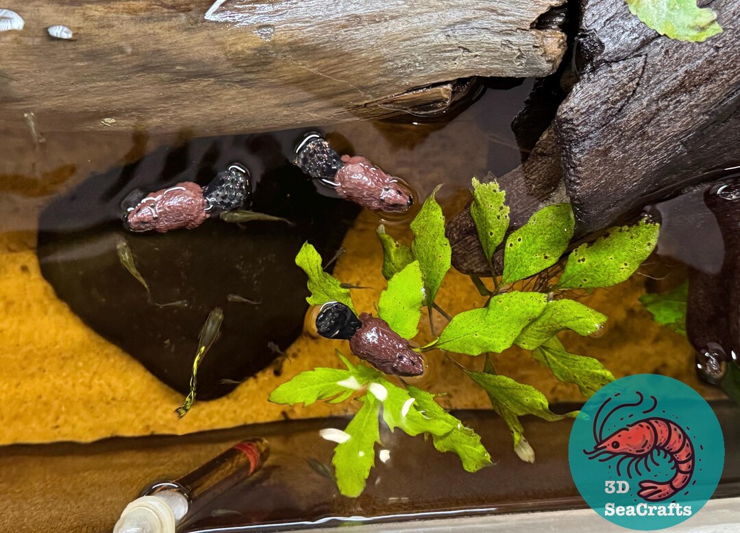 Beaver Decor | Decorative Aquarium | Water Surface Decoration - Etsy