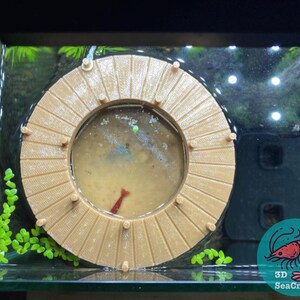 Floating Shrimp Dock Feeder: Aquarium Feeding Station - Etsy