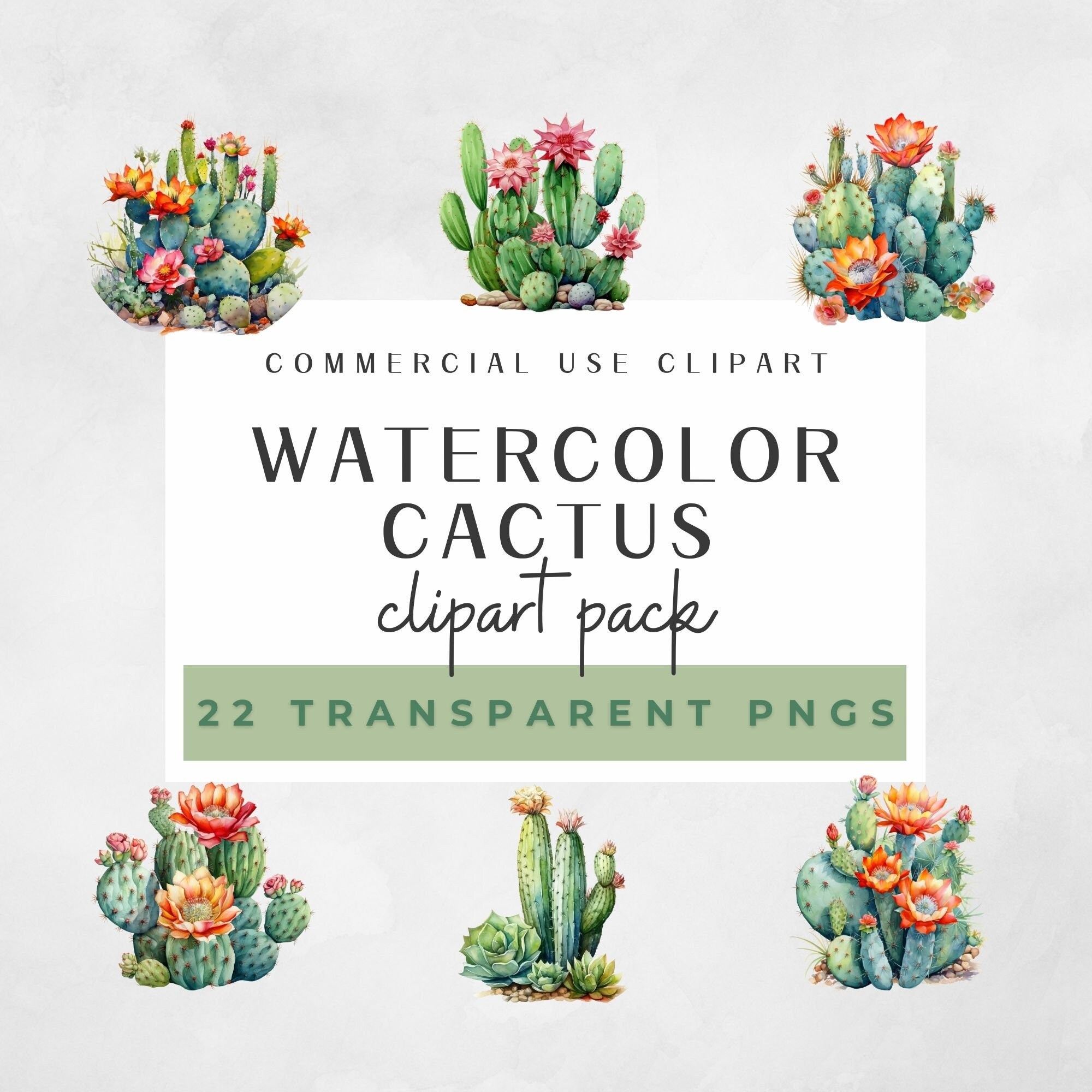 Watercolor Cactus Clipart Ocean Desert Cacti Clipart Succulent ...