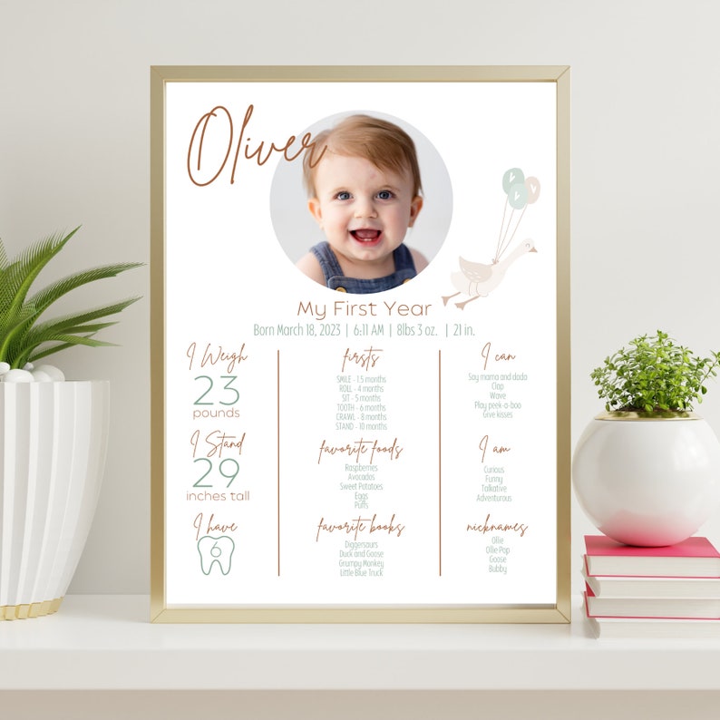 EDITABLE Baby First Year Milestone Sign, Silly Goose First Birthday ...