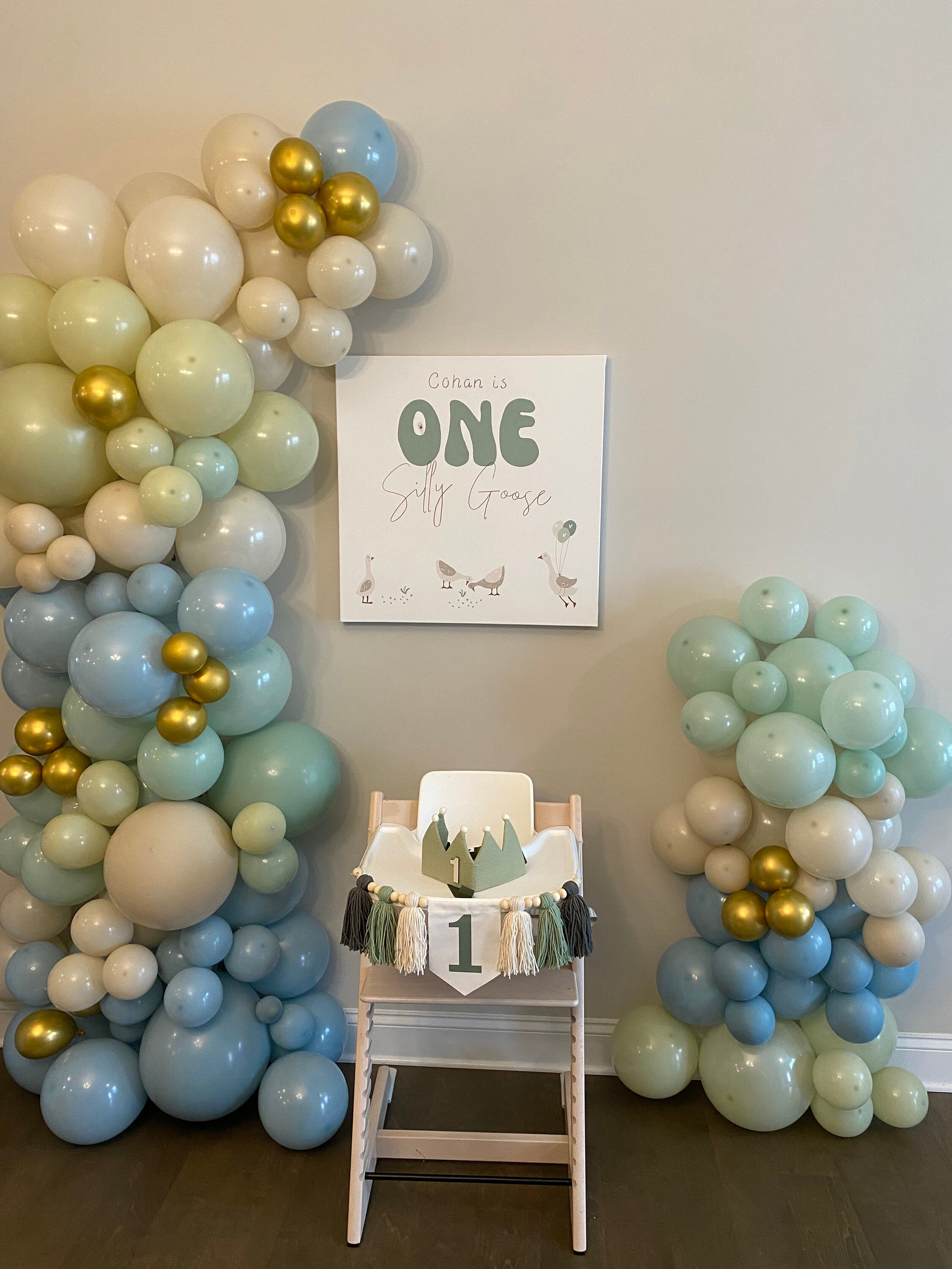 ONE Silly Goose Birthday Poster, Silly Goose Birthday Template, ONE ...