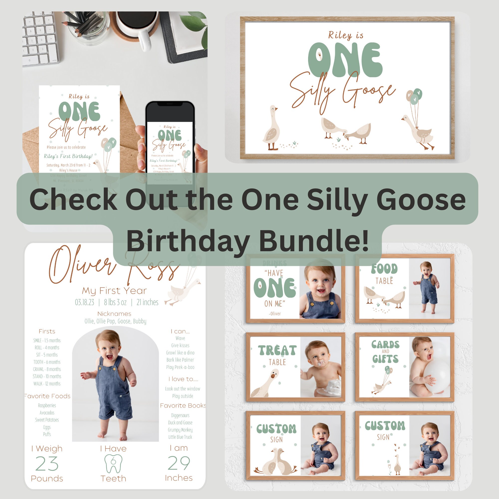 ONE Silly Goose Birthday Poster, Silly Goose Birthday Template, ONE ...