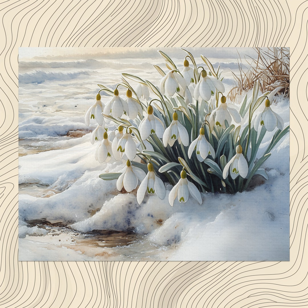 Snowdrop Hope Canvas Wall Art, Elegant Watercolor Snowdrops Through ...