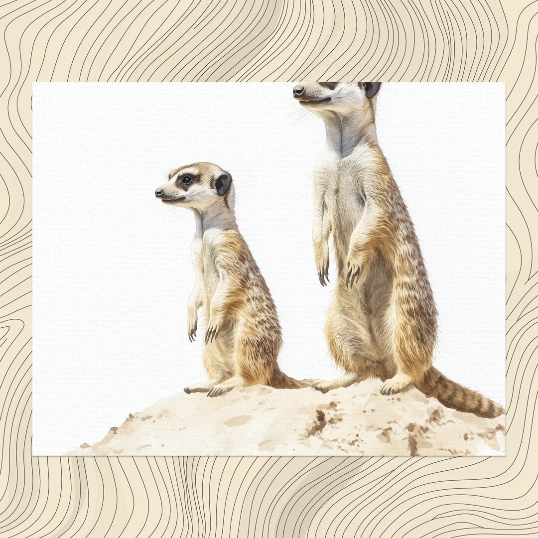 Meerkat Canvas Wall Art, Colorful Wildlife Decor for Home, Nature ...