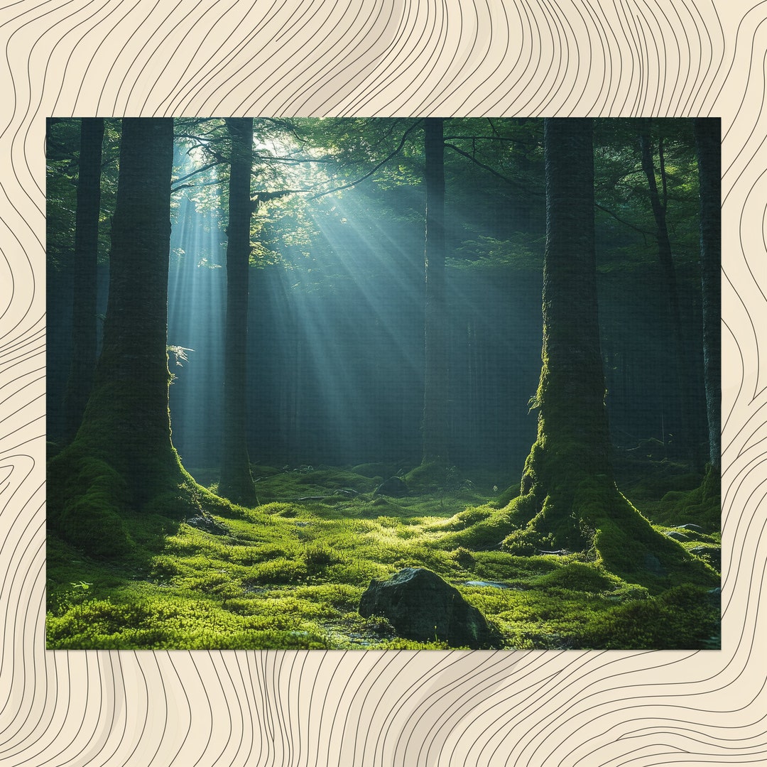 Sunlit Forest Canvas Wall Art, Sun Rays Print Nature Decor Forest ...