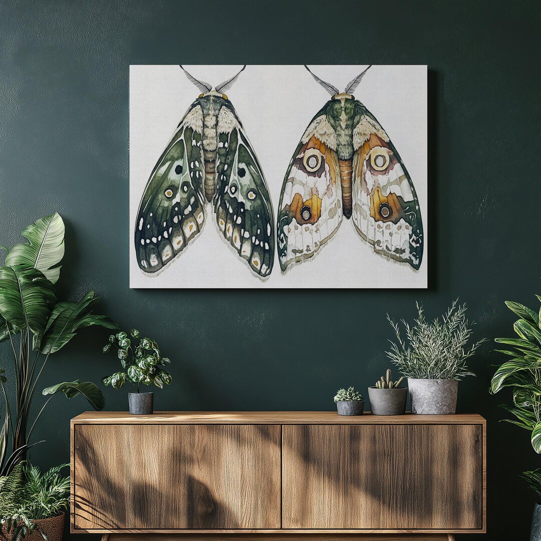 Moth Wall Art Moth Artwork Nature Wall Art Watercolor Art Canvas Prints ...